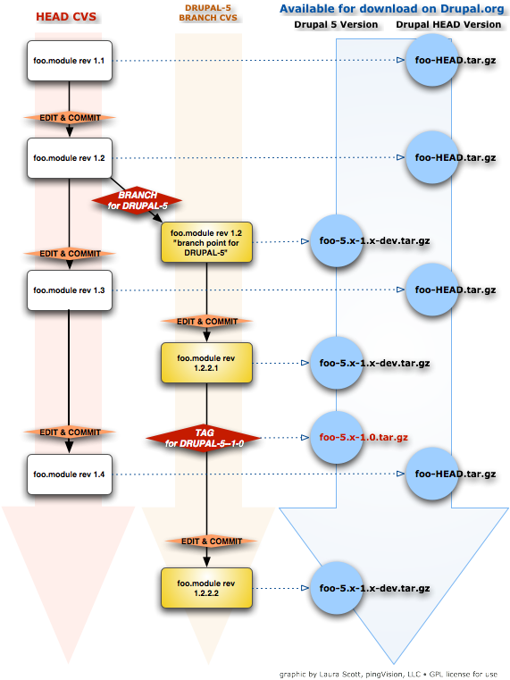 Dojo Lesson on CVS | Drupal Groups